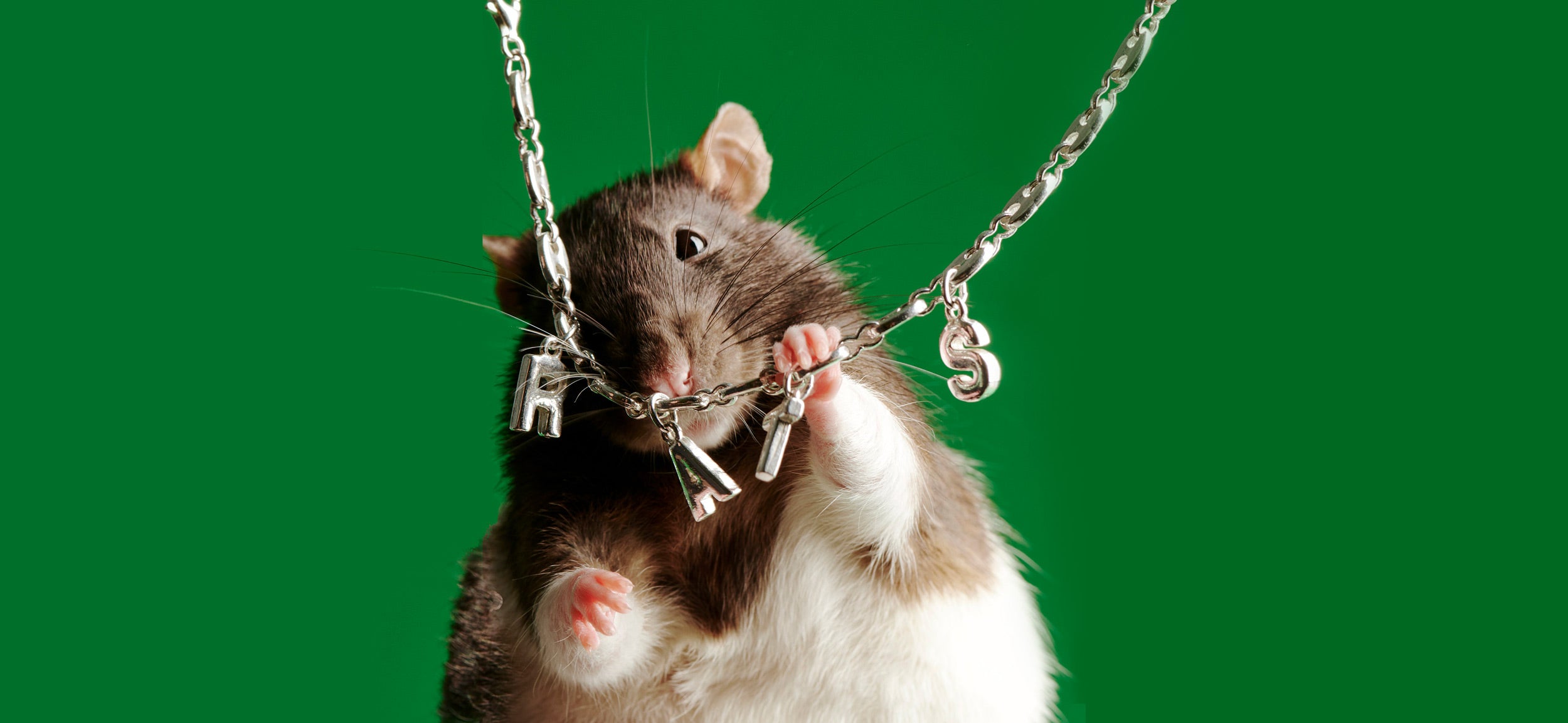 Rats – Underground Sundae